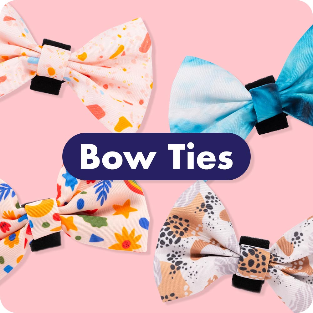 All Bow Ties – Bailey And Bone