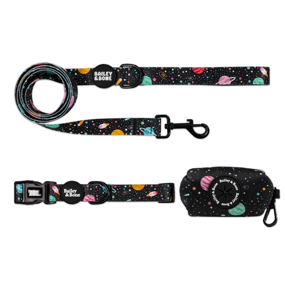 Bailey And Bone: Awesome Accessories For Awesome Pets