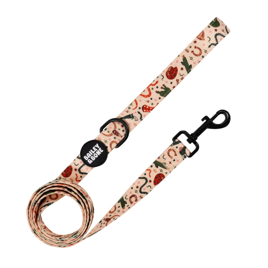Wild Wild West Lead – Bailey And Bone